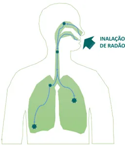 Layeroof - Radonsperre